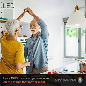 SYLVANIA LED A19 Light Bulb, 100W Equivalent, Efficient 16W, Dimmable, 1600 Lumens, Frosted, 5000K, Daylight - 4 Pack (40739)