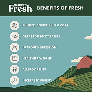 FRESHPET Beef Garden Vegetables Grains 5Lb Dog Food, 80 OZ