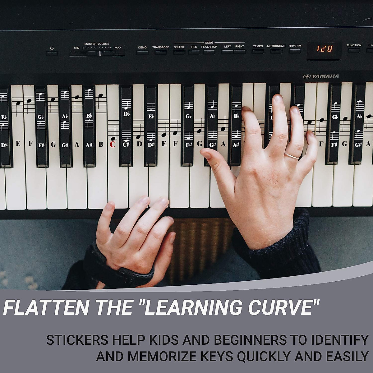 QMG Piano and Keyboard Stickers and Complete Piano Music Lesson and Guide Book for Kids and Beginners