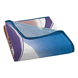 Northwest Aladdin Micro Raschel Throw Blanket, 46" x 60", Moonlight Lovers