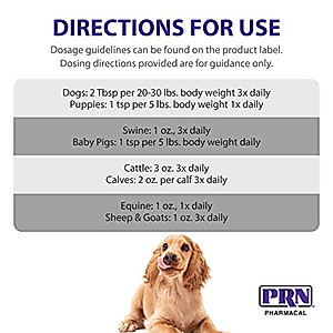 PRN Pharmacal STAT - High Calorie Nutritional Supplement to Help Restore Hydration & Nutrition Levels in Animals - Vanilla Flavored Dietary Support with Vitamin A, D3, C, E, & More - 16 Fl Oz