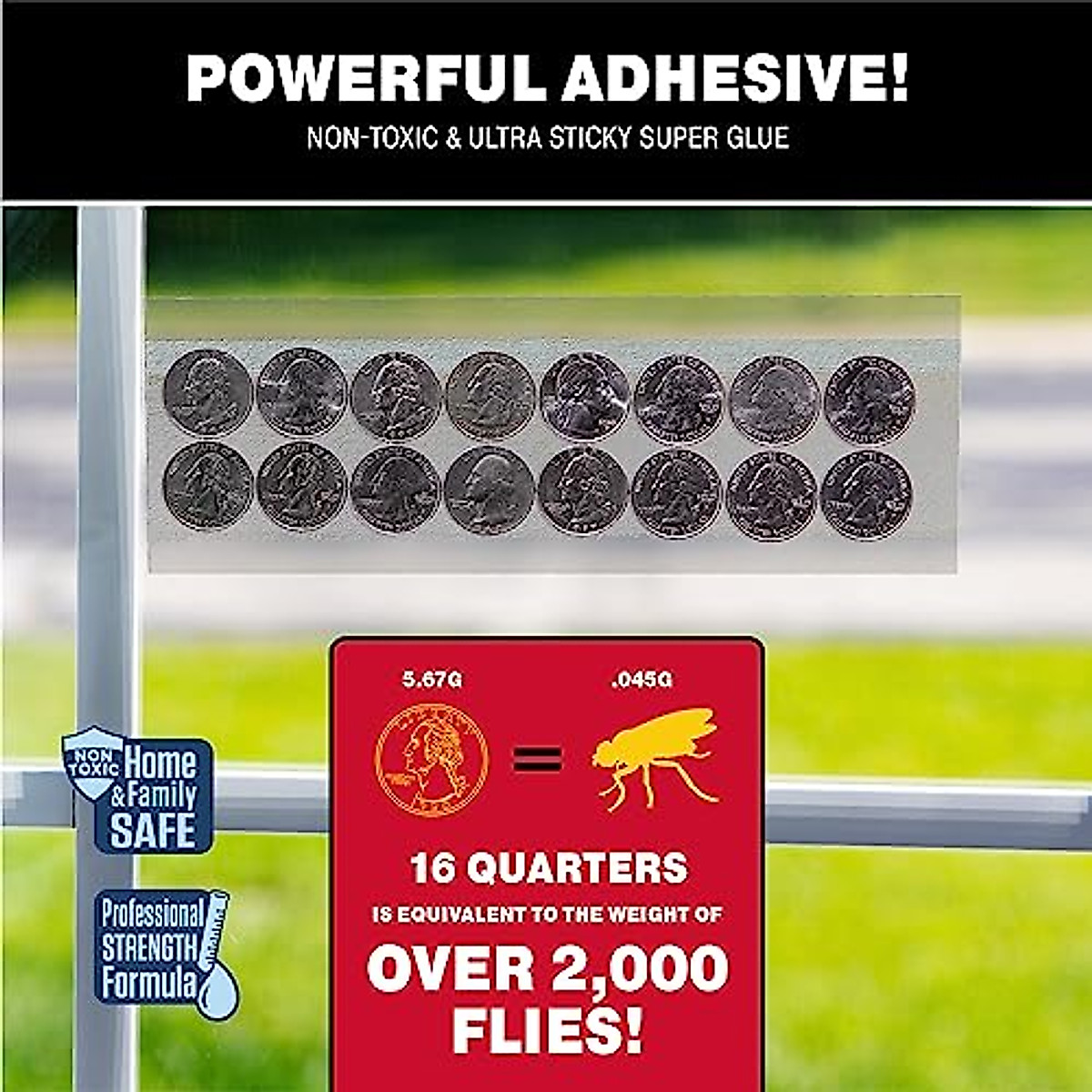 Window Fly Traps by Catchmaster - 12 Count, Ready to Use Indoors. Insect, Bugs, Fly & Fruit Fly Glue Adhesive Sticky Paper - Waterproof Easy Application Ready Disposable Non-Toxic