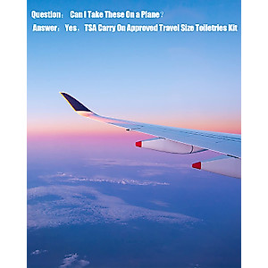 17 Pack Travel Pouches for Toiletries,TSA Approved,Travel Size Portable Containers,Stand Up Pouch,Refillable Travel Accessories for Shampoo Conditioner Lotion Soap Liquids (A-17pcs)