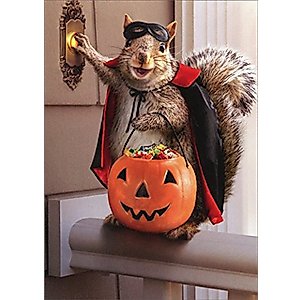 Avanti, Squirrel Trick Or Treating