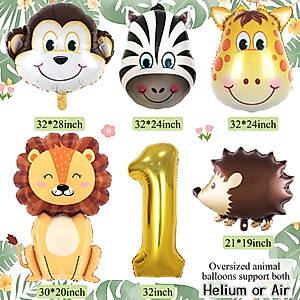 Daidle Wild One Birthday Decorations, 1st Birthday Decorations for Boy or Girl, First Birthday Decorations, 1st Birthday Photo Banner, Balloon Box, Jungle Theme Safari Birthday Decorations Boys Girls
