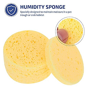 POPETPOP Saddle Evergreen Pet Supplies 25Pcs Round Hermit Crab Sponges Portable Water Dish Crab Sponge Crab Tank Humidity Supplies for Pet Hermit (Yellow) 60x80CM Sea Sponge Crab