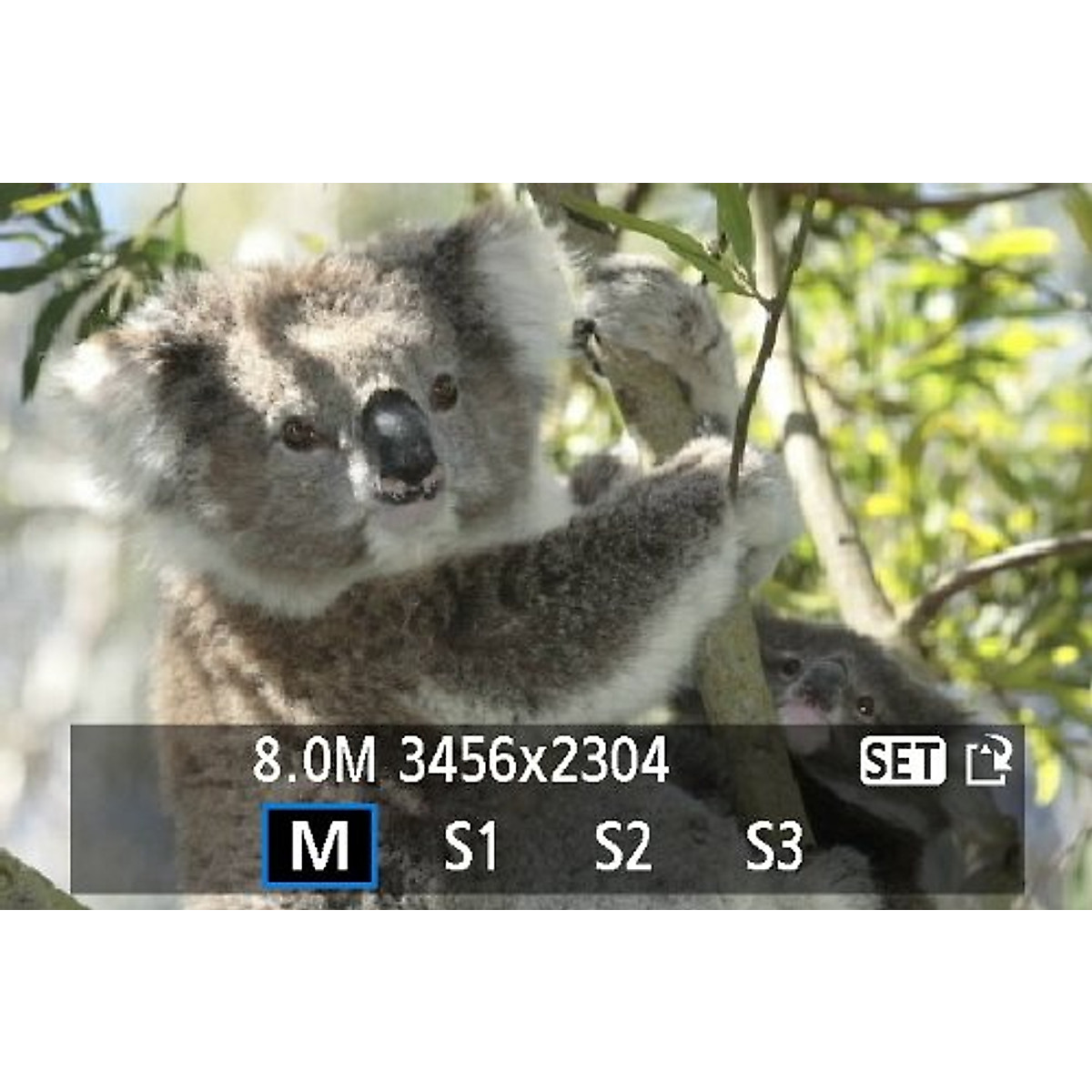 Canon EOS Kiss X5 Digital SLR Camera SLR 18-55 Lens Kit - International Version (No Warranty)