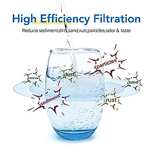 ICEPURE 10"X4.5",1 Microns Whole House Sediment Activated Carbon Water Filter Compatible with Dupont WFHDC8001,EP Series,EPM Series,CB-BB-10, GE FXHTC, GXWH40L, GXWH35F, GNWH38S, CTO10BB,1PACK