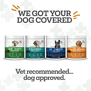 Vetality Well Chews | Soft Chew Supplements for Dogs | 60 Count | Made in USA (Skin + Coat)
