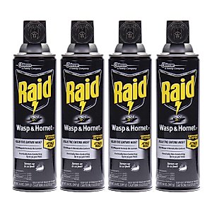 Raid Wasp Hornet Killer Spray (14 Ounce (Pack of 4))