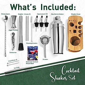 CasaCulina Cocktail Shaker Set Mixology Bartender Kit with Stand, 17 Piece Bar Tool Set: Martini Shaker, Jigger, Strainer, Mixer Spoon, Muddler, Liquor Pourers for Drink Mixing Bartending Kit(Silver)