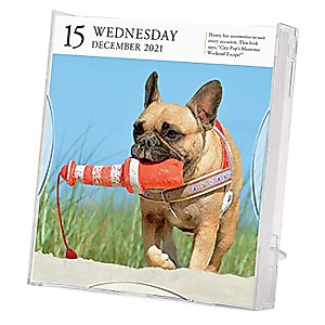 Dog Page-A-Day Gallery Calendar 2021