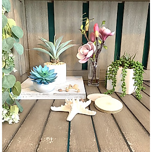 WERANDAH Artificial Faux Potted Mini Blue Succulent 4.5" | Indoor Table Top Bookshelf Dorms Home Office and Wedding Party Decor