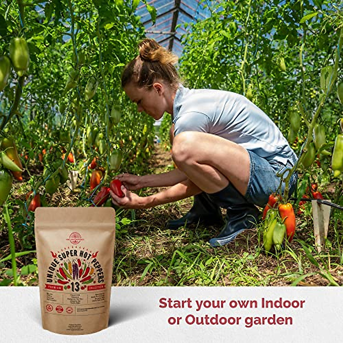 13 Rare Hot Chili Pepper Seeds Variety Pack for Planting Indoor & Outdoors. 650+ Non-GMO Bulk Pepper Garden Seeds Kit: Jalapeno, Cayenne, Serrano, Habanero, Pasilla Bajio, Santa Fe, Fresno & More