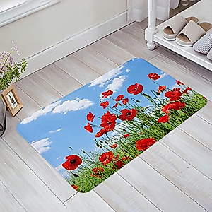 Door Mat Red Flowers Memory Foam Cushioned Kitchen Rug, 16x24 Inch Water Absorbent Soft Touch Standing Mat for Bathroom, Office, Sink, Laundry, Home Green Leaves Blue Sky Landscape Texture