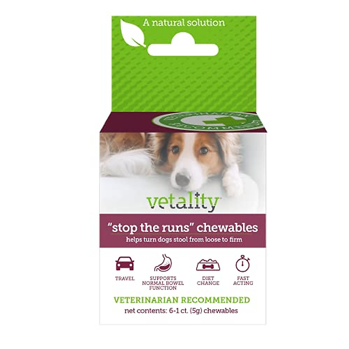 Stop The Runs | Anti Diarrhea Chewables | 6 Count