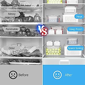 damynuo 10Pack Fruit Storage Containers for Fridge - Fridge Organizers and Storage with Vent and Handle Lids, Fruit Containers for Fridge with Colander, Refrigerator Organizers and Storage Keep Fresh