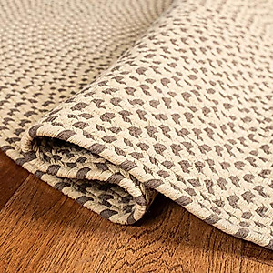 SAFAVIEH Braided Collection 4' x 6' Oval Beige/Brown BRD173A Handmade Country Cottage Reversible Cotton Area Rug