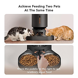 PETLIBRO Automatic Cat Feeder, WiFi Connected, Adjustable Meal Splitter, Fresh Food Storage, Multiple Pet Use, Stainless Steel
