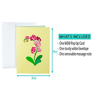 WOWPAPERART Orchid Flower - 3D Pop Up Greeting Card For All Occasions - Love, Birthday, Christmas - Blank Inside for Personalized - Thick Envelope - 5x7 In