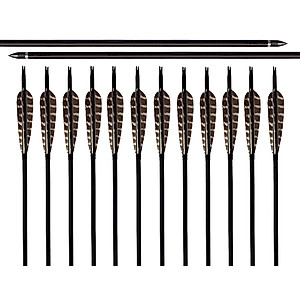 ARCHERY SHARLY 31Inch Carbon Targeting Practice Arrows Turkey Feather Fletching Arrows with Removable Tips for Recurve Traditional Long Bow (12 Pack)