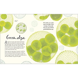 The Wonders of Nature (DK Children's Anthologies)