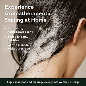 AROMATICA Cypress Deep Cleansing Shampoo 13.53fl.oz. / 400ml - Vegan, EWG Verified, Non-Irritating and Thoroughly Cleansing for Fuller, Thicker and Stronger Hair