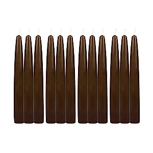 Zest Candle, 6-Inch, Brown 12-Piece Taper Candles, Count