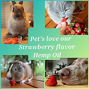 Pittie Cool Hemp Oil for Pets, Strawberry Flavor, 1000MG, Natural, Hips & Joints, Calming, Anxiety