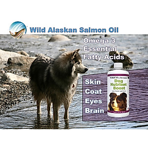 Multi vitamin liquid for dogs probiotics for dogs digestion liquid antioxidants for dogs immune support Salmon omega 3 fish oil liquid - liquid dog vitamins and minerals senior dog multivitamin liquid