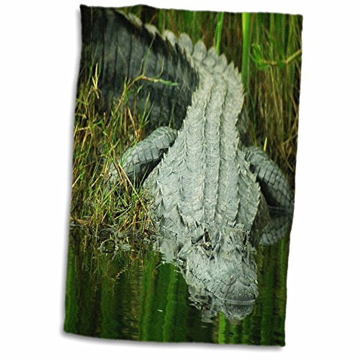3D Rose Grow Them Big Here in Florida an Alligator TWL_62370_1 Towel, 15" x 22"