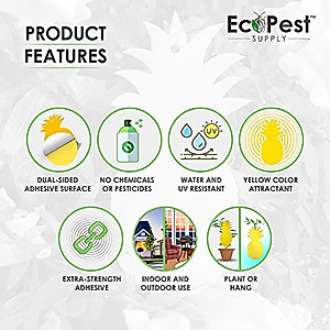 Sticky Fruit Fly and Gnat Traps – 12 Pack | Yellow Fly Paper Trap for House Plants and Gnat Sticky Traps for Fruit Flies, Fungus Gnats, and Other Flying Insects | Indoor and Outdoor Fly Tape