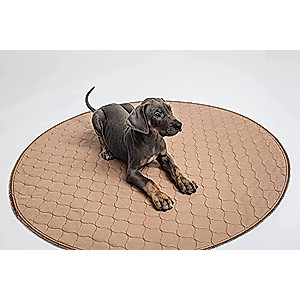 EZwhelp Washable Whelping Dog Pee Pads - Waterproof and Reusable Potty Training Floor Pads - Absorbent Dog Training Bed - Puppy Training Pads Supplies, Absorbent Pet Pen Floor Pad Puppies, 48-in