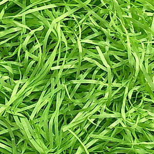 Dolkoic 1LB Easter Green Grass Raffia Grass Large Pack Green Recyclable Shred Paper for Easter Gift Basket Filler Easter Party Decoration Wrapping Basket Filling