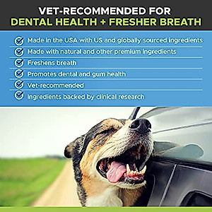 PetHonesty Oral Hygiene Dental Water Additive | Dog Mouthwash + Teeth Cleaning | Keeps Teeth + Gums Clean | Freshens Breath + Targets Plaque + Tartar - 8 oz