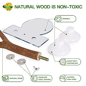 GJRGEG1Y Removable Window/Shower Perch Platform with Suction Cups for Bird Includes Stainless Steel Washer Robust and Stable Without Falling (Small)