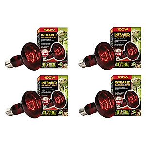 Exo Terra Heat-Glo Infrared Spot Lamp, 100-Watt/120-Volt (4 Pack)