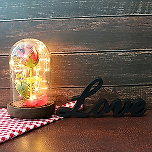 CVHOMEDECO. Black Wooden Words Sign Free Standing Love Desk/Shelf/Home Wall/Office Decoration Art, 10-1/4 x 4-1/2 x 1 Inch