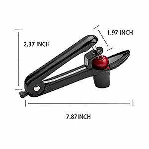 Fruit & Vegetable Pitters,Cherrys Pitter Tool,Pressable Labor-Saving ABS Cherrys Olive Remover Tool,Suitable for Cherrys, Jujube,Grape,Olive,Hawthorn,Black
