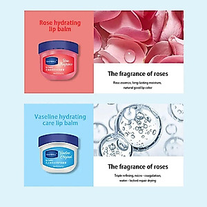 Fruit Flavored Lip Balm Set, Anti Chapping Lip Mmoisturizers, Mini Chapstick, Relieves Dull and Dry Skin, Long Lasting Lip Care Products