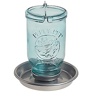 Perky-Pet 1 Mason Jar Wild Bird Waterer 783, Blue