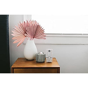 Bridgewater Candle Scented Wax Bar - Sweet Grace