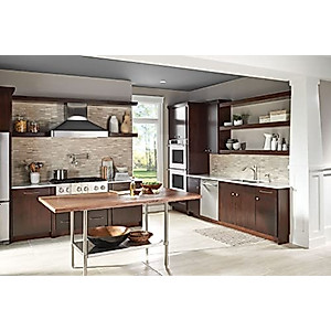 Moen Modern Spot Resist Stainless Wall Mount Swing Arm Folding Pot Filler, Double Jointed Kitchen Faucet, S665SRS