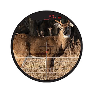 Burris Optics Oracle X Rangefinder Crossbow Scope, Built in Range Finder Measures Exact Distance, Calculates Perfect Aim/Drop Point, Adaptable Right or Left Handed Mount,Matte Black,One Size