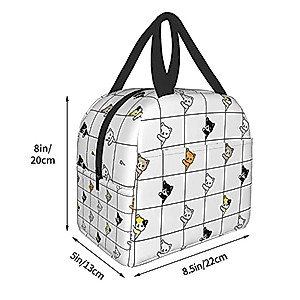 Insulated Lunch Bag Reusable Lunch Box, Cooler Lunch Tote Bag With Front Pocket for Teen Girls Women Men Women School Picnic Office Work, Cute Kawaii Cat