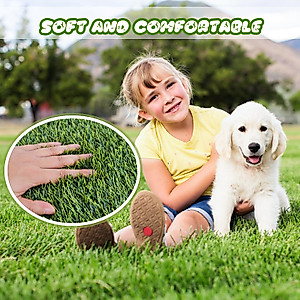 CooZero Artificial Grass, Professional Dog Grass Mat, Potty Training Rug and Replacement Artificial Grass Turf, Large Turf Outdoor Rug Patio Lawn Decoration, Easy to Clean with Drainage Holes