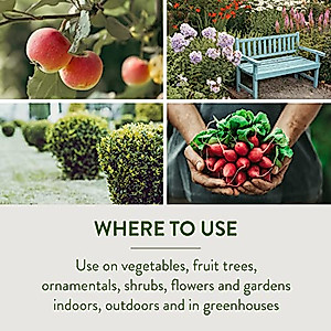 Garden Safe 32 oz. Insecticidal Soap Ready-to-Use