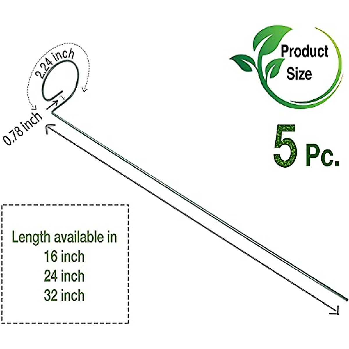 Greenpeas Plant Stake Support - 3-Inch Diameter Steel Support Stands with Green Plastic Coating - Gardening Brace Sticks for Single Stem Flowers, Amaryllis, Tomatoes, Peony, Lily - 16" Tall, 5 Pieces