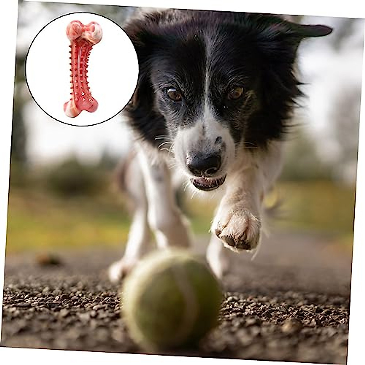 FRCOLOR 1pc pet Teething Stick Puppies Toys Puppy chew Toys Chewing Toys for Puppies Teeth Cleaning Toy Dog Sound Toy Large Dog Gum Toy Dog Interactive Toy Dog Dental Care Toys Dog Toy