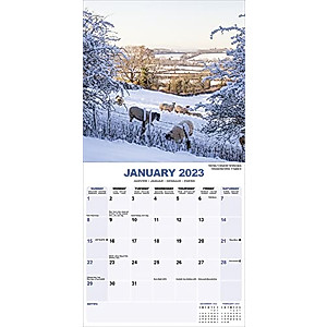 Photography Calendar - Seasons Calendar - Calendars 2022 - 2023 Wall Calendars - Sunset Calendar - Photo Calendar - Seasons 16 Month Wall Calendar by Avonside